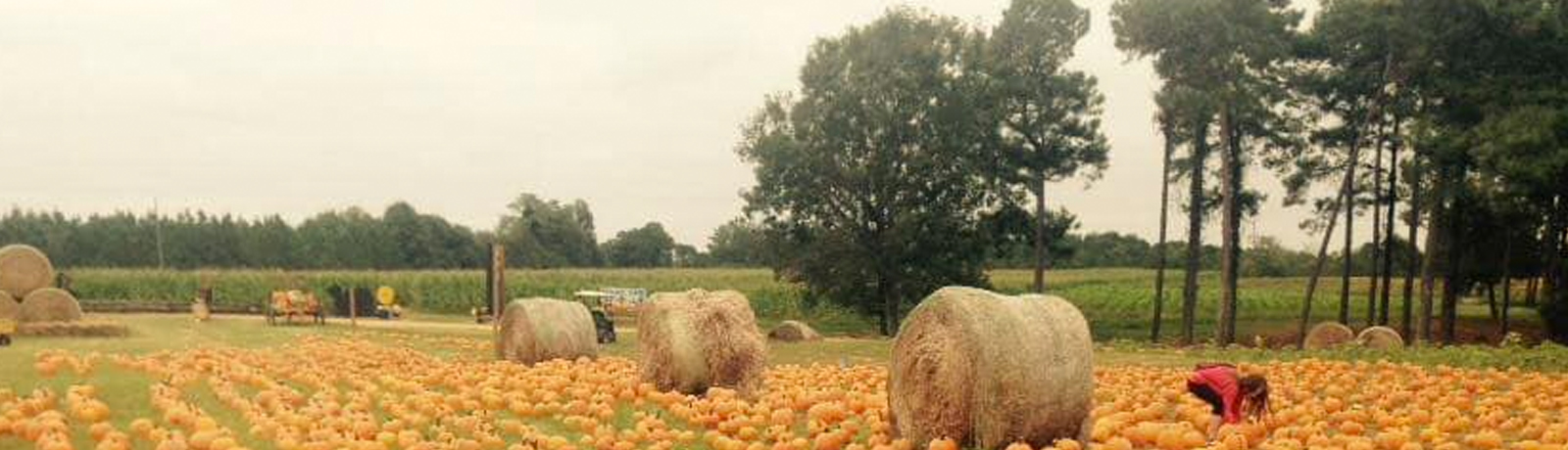 Corporate Events - Mitchell Farms