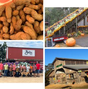 Home - Mitchell Farms