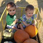 Pumpkin Patch - Mitchell Farms