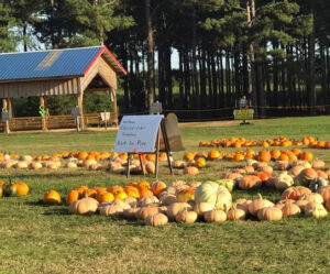 Corporate Events - Mitchell Farms